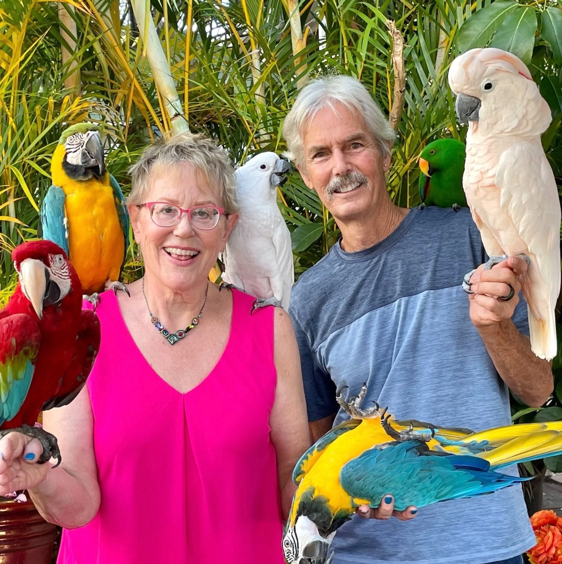 South Maui Gardens - The Hidden Oasis of Kihei